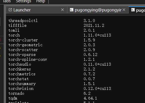 pytorch_geometric离线安装 | haoran's blog