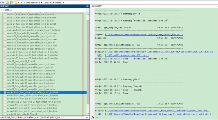 8-5-SPM软件使用 | haoran's blog